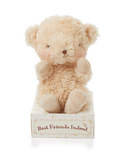 Wittle Bear – Ben Jr Concept